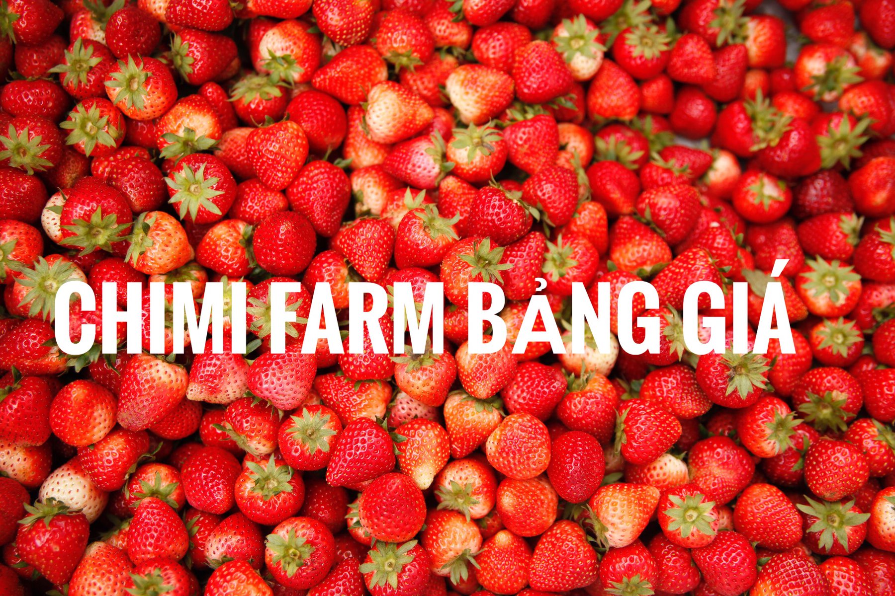 Bảng giá sản phẩm Chimi Farm chi tiết - Chimi Farm