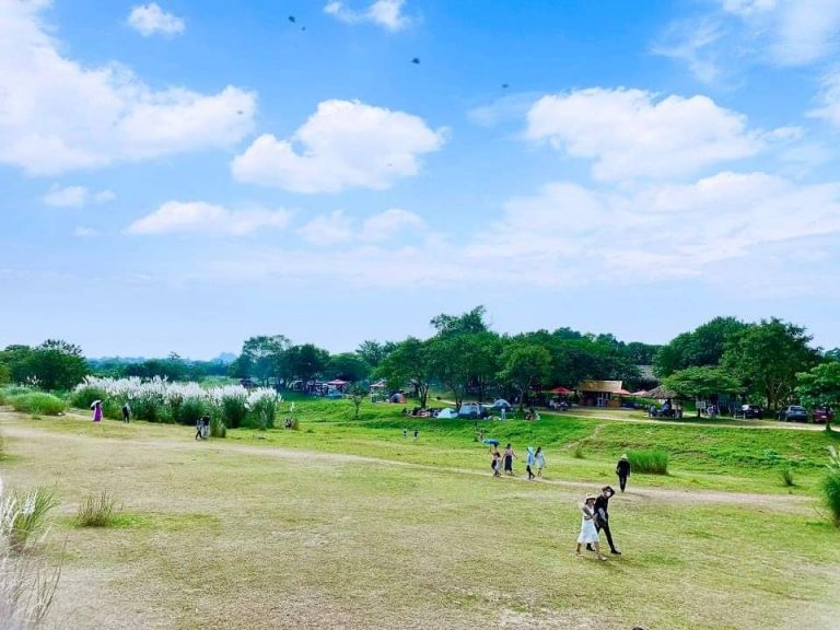 Hướng dẫn trải nghiệm Chimi Farm - Trang trại dâu tây Chimi