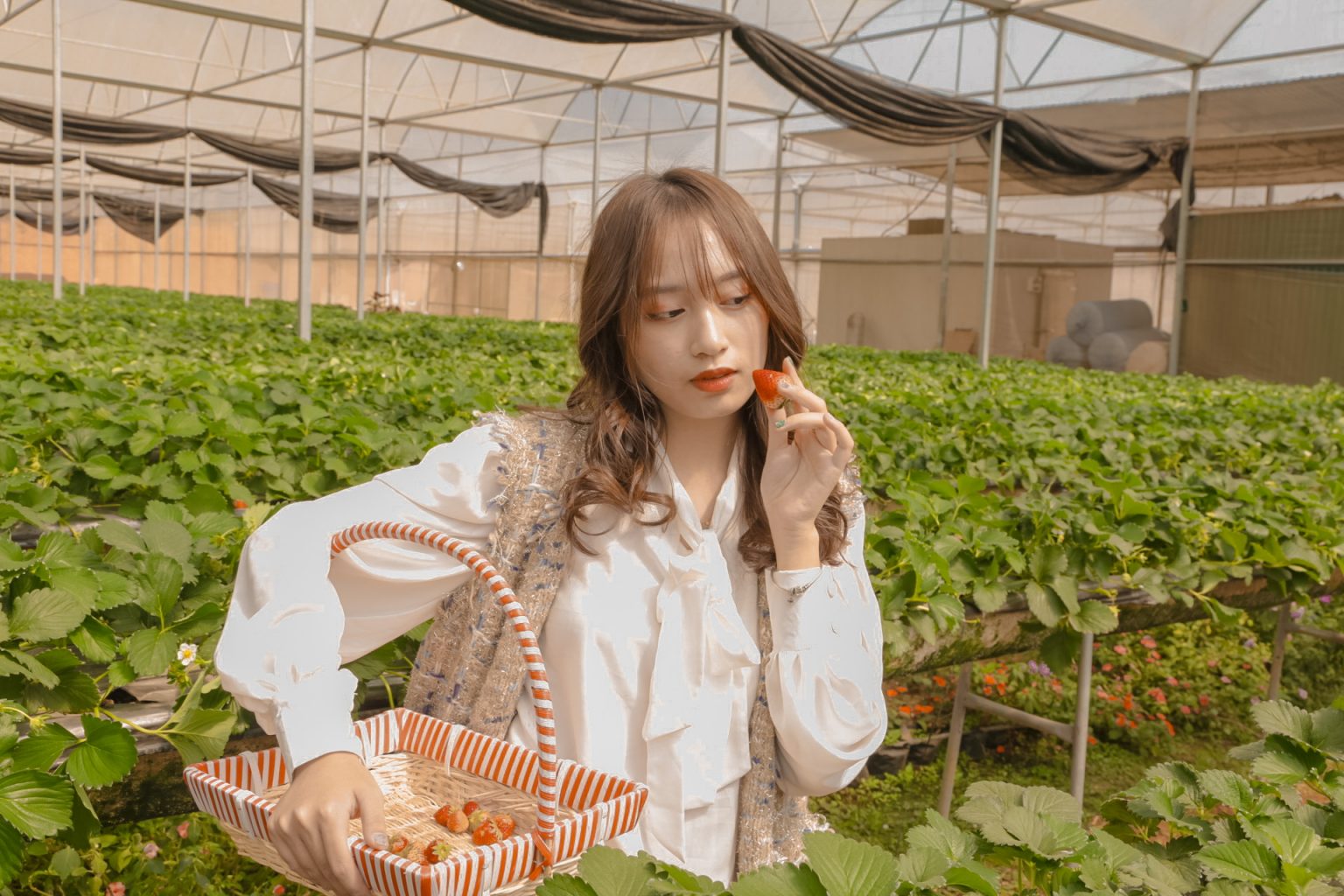 Những hình ảnh đẹp của du khách tại Chimi Farm - Chimi Farm