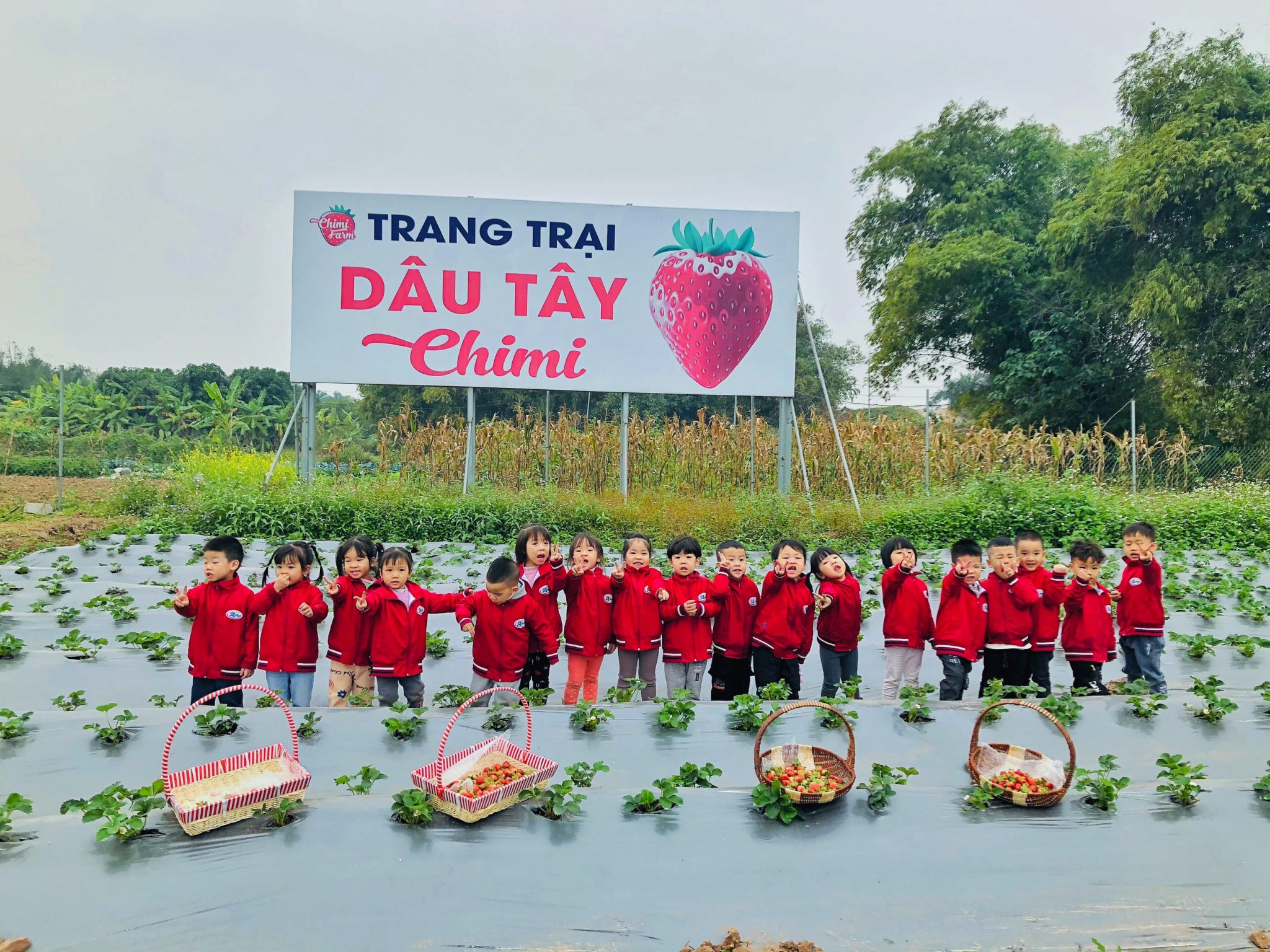 Trải nghiệm Chimi Farm 4 Nhật Tân – Hướng dẫn chi tiết - Chimi Farm