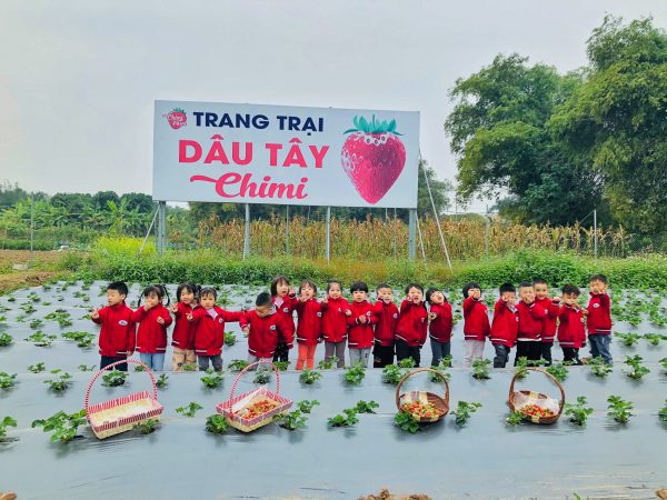 Trải nghiệm Chimi Farm 4 Nhật Tân – Hướng dẫn chi tiết - Chimi Farm