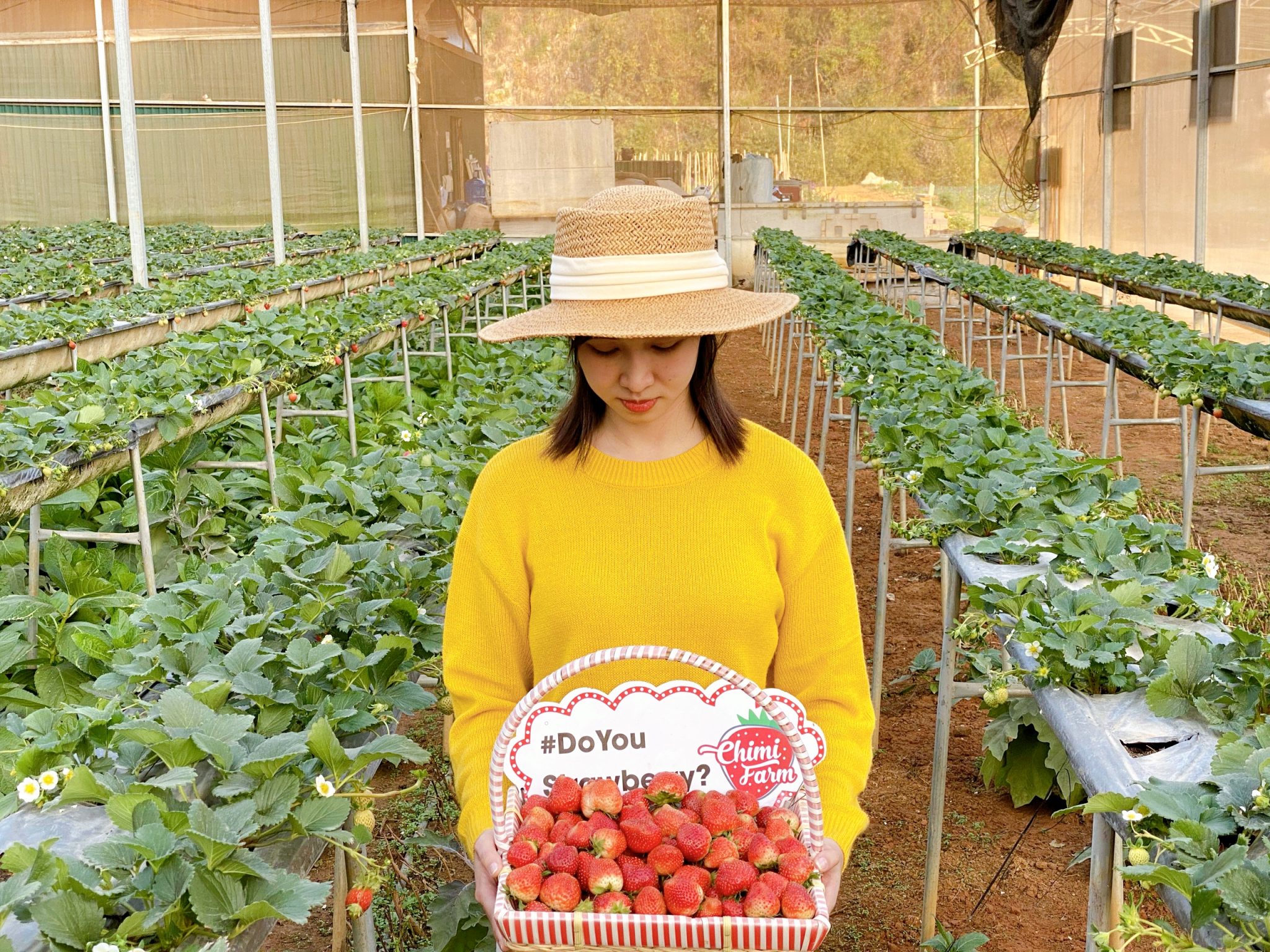 » Hướng dẫn trải nghiệm Nông trại Chimi Farm